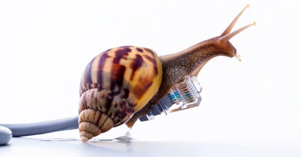 Is Slow Company Internet a Problem with my WiFi or ISP?